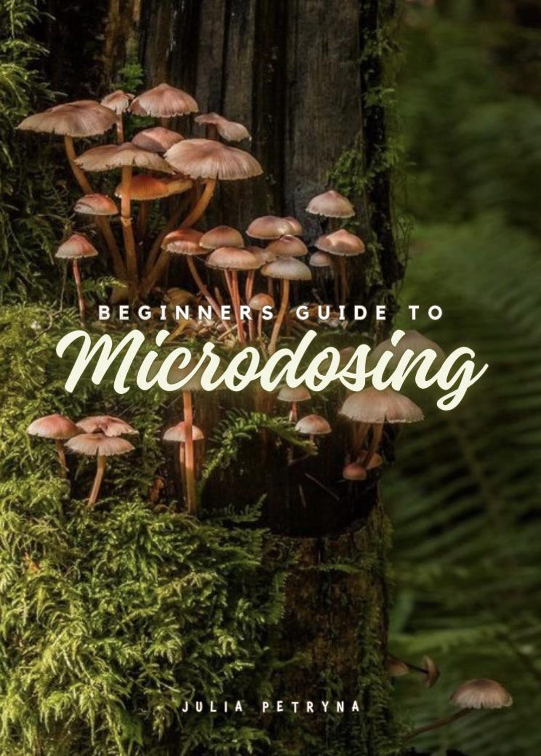 Beginners Guide to Microdosing | Microdosing, Mushrooms, Psychedelics, Mental Clarity, Personal ...