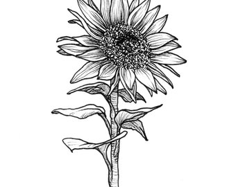 Digital Download Sunflower Ink Illustration Art Print - Etsy