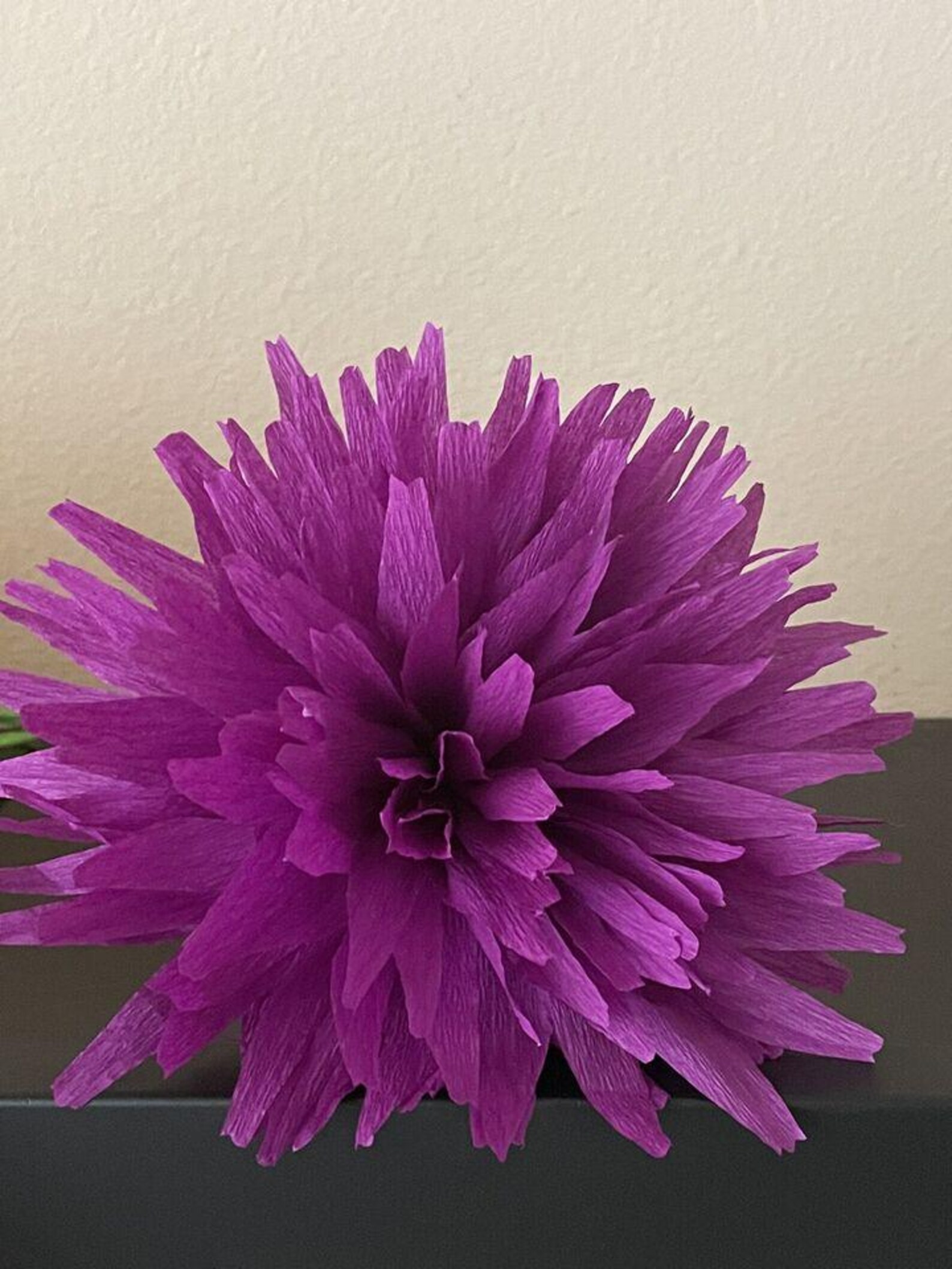 Mexican Crepe Paper Flowers Set of 6 Multicolor Rose"we Make Special ...