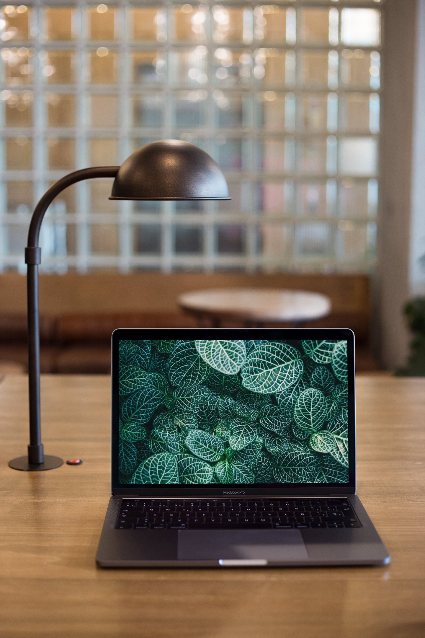 Desktop Wallpaper Computer Screen Savers Nature Photos Dahlias Poppies ...