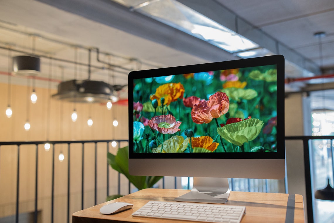 Desktop Wallpaper Computer Screen Savers Nature Photos Dahlias Poppies ...