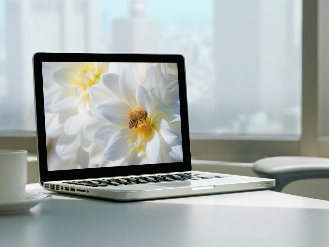 Desktop Wallpaper Computer Screen Savers Nature Photos Dahlias Poppies ...