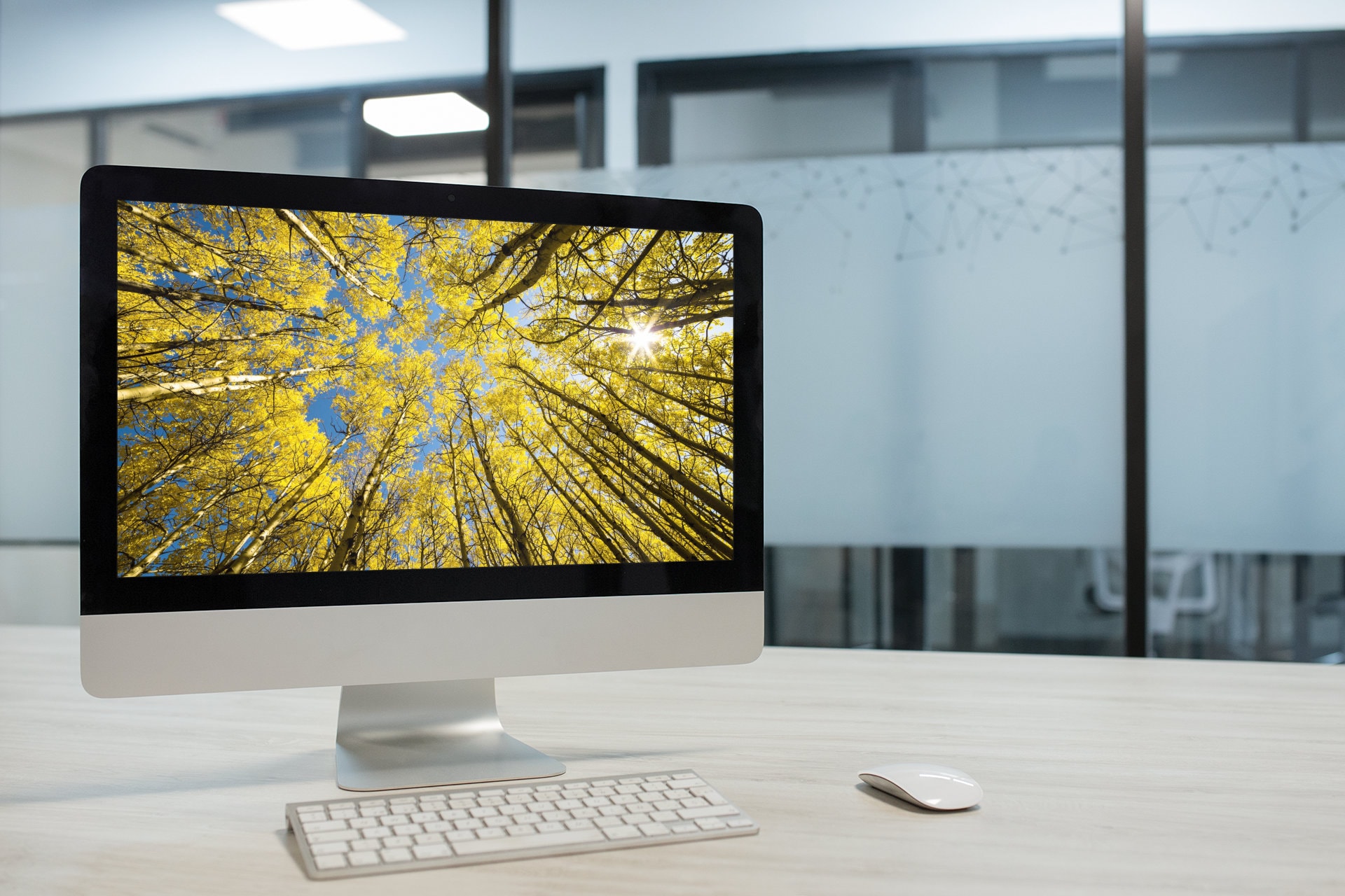 Desktop Wallpaper Computer Screen Savers Nature Photos Dahlias Poppies ...