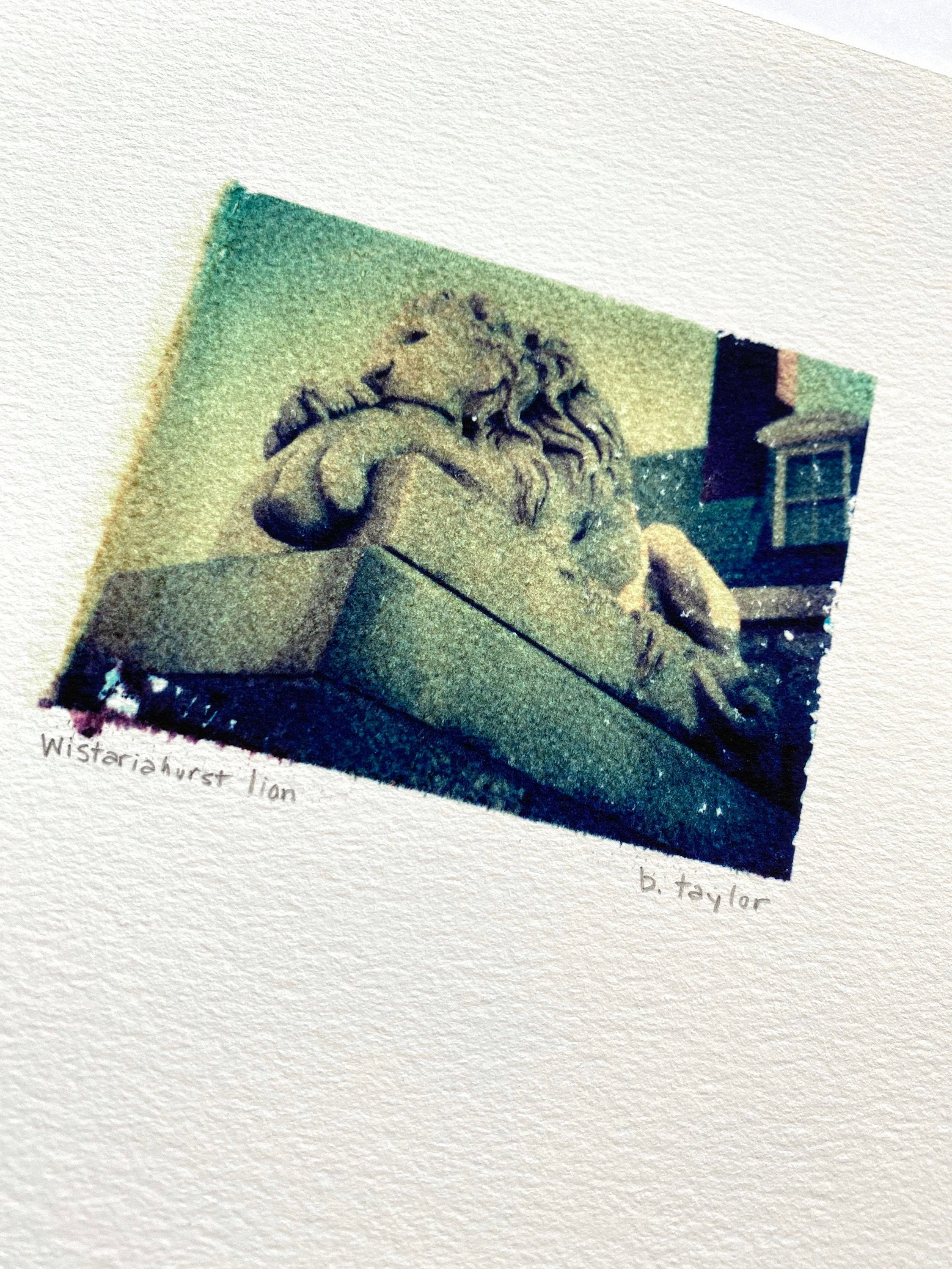 Polaroid Transfer Art, Lion at Wistariahurst, Holyoke, MA ...
