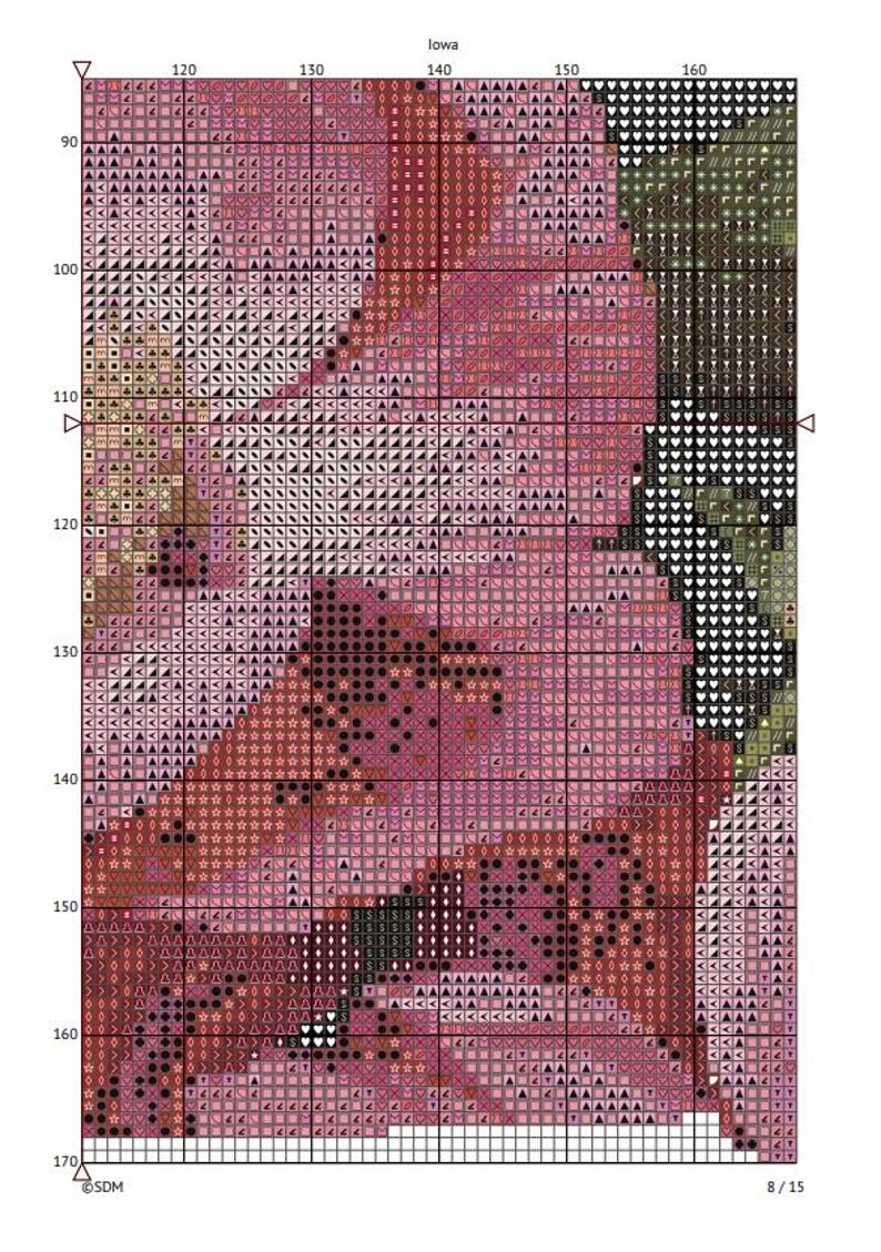 Cross Stitch Pattern | Iowa State Flower | Wild Prairie Rose | Iowa ...