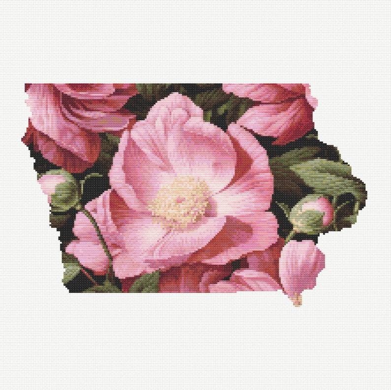 Cross Stitch Pattern | Iowa State Flower | Wild Prairie Rose | Iowa ...