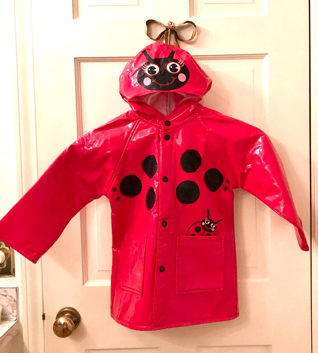 Children's Red Raincoat With Ladybug Design 3T - Etsy