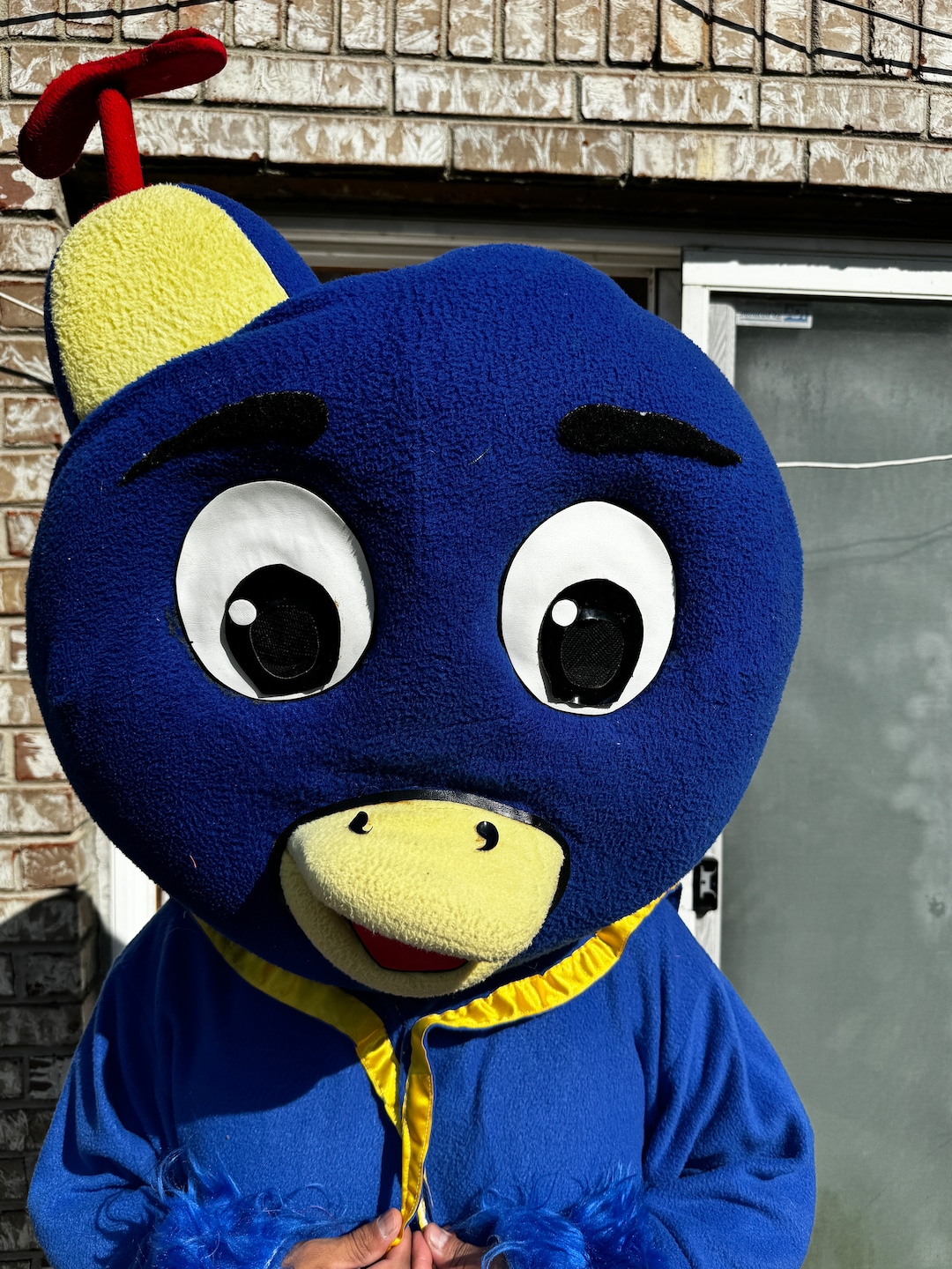 Pablo Mascot Costume / Top Piece and Shirt / Used Costume - Etsy