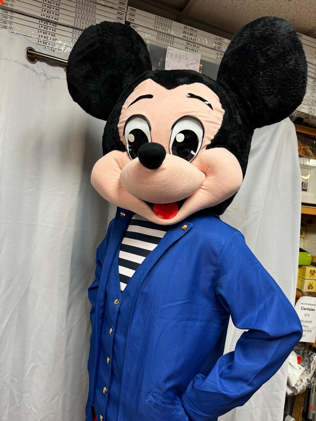 Spring Sale/ Adult Mickey Mouse Mascot Costume/ Blue Jacket and Red ...