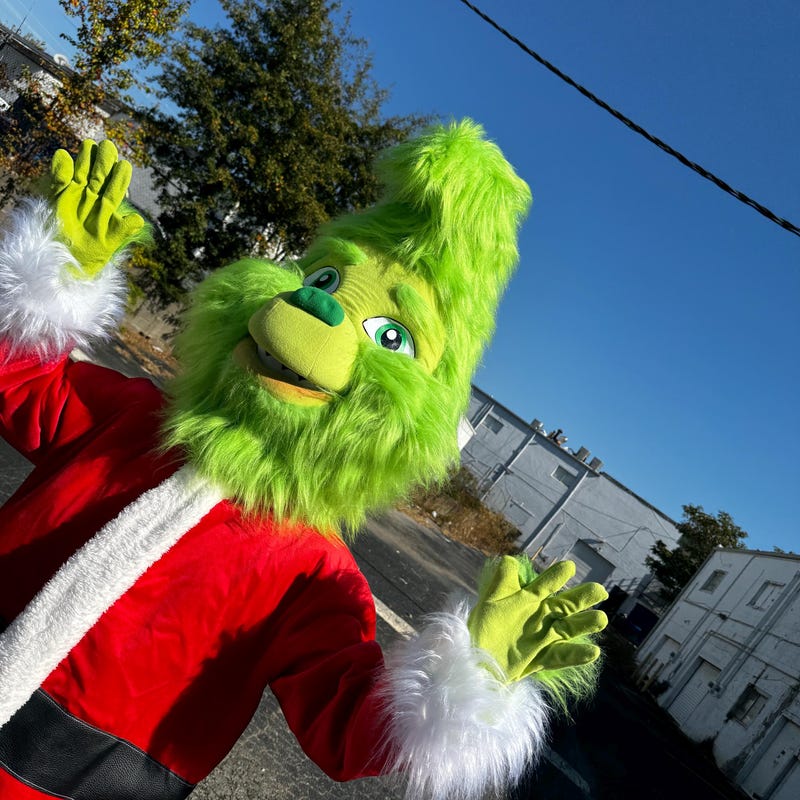 Grinch Costume - Etsy