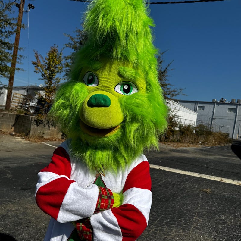 Grinch Costume - Etsy