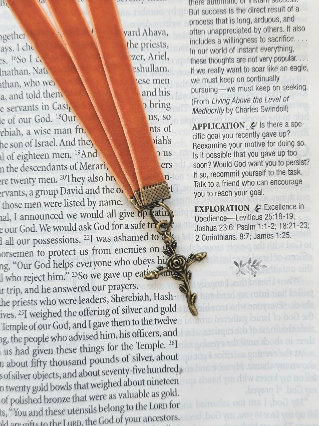 Multi-strand Bookmarker, Bible Ribbon Page Holder, Gift for Her, Study ...