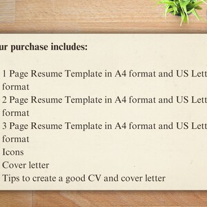 Resume Template Word, Green Resume, Modern CV Template, Professional ...