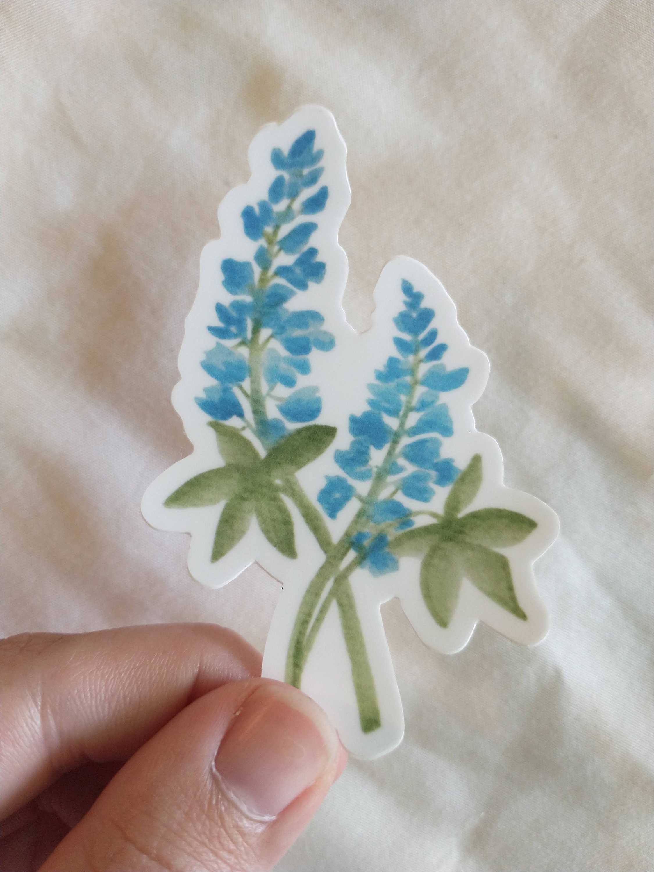 Bluebonnet Watercolor Sticker, Texas State Flower Sticker, Vinyl and ...