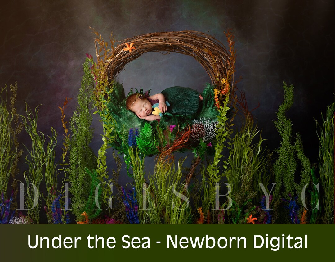 Under the Sea, Mermaid, Ariel, Newborn Digital Backdrop, Digi - Etsy