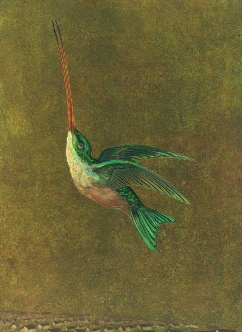 PRINT audubons Hummingbird, 8x10 Print, Bird, Wall Decor, Vintage Bird ...