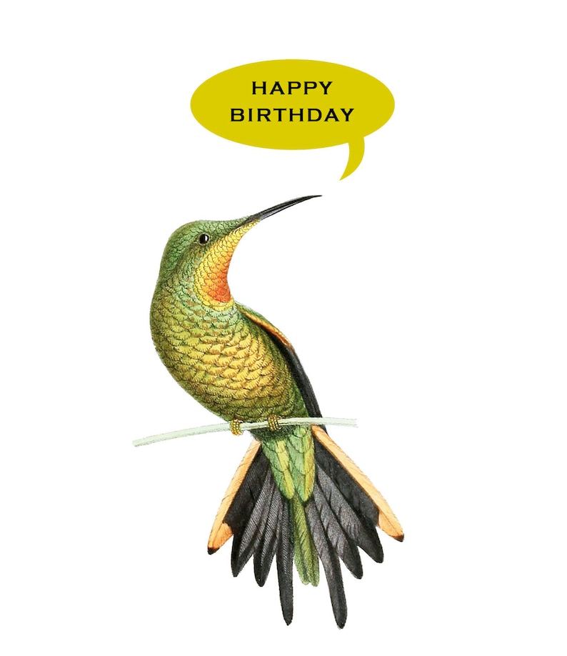 BIRTHDAY CARD: Happy Birthday, Hummingbird, Bird Art, Vintage Print ...