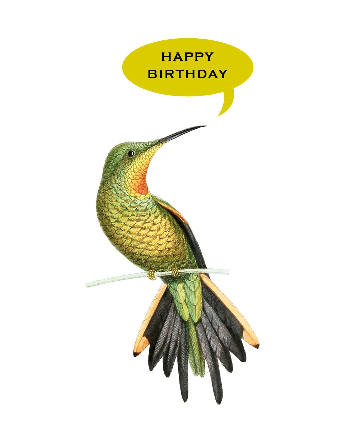 BIRTHDAY CARD: Happy Birthday, Hummingbird, Bird Art, Vintage Print ...