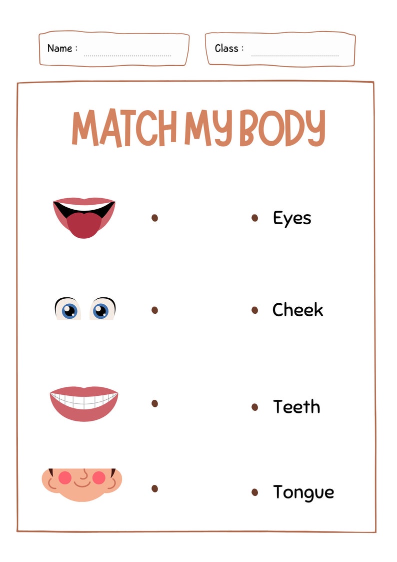 Learning Body Vocabulary - Etsy