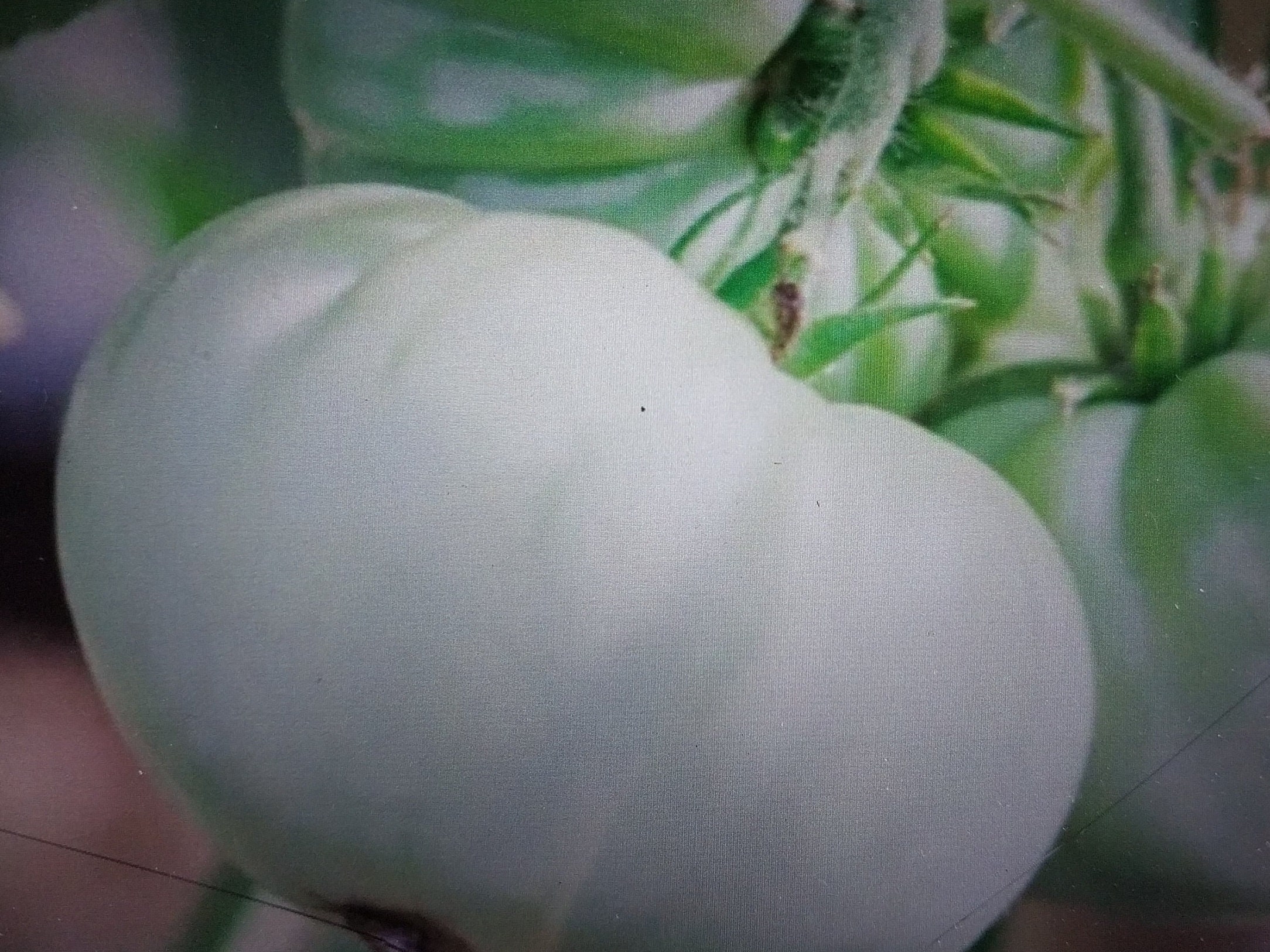 Hand Crafted Glass Seed Jars With Cork, Charms, and Unique and ...