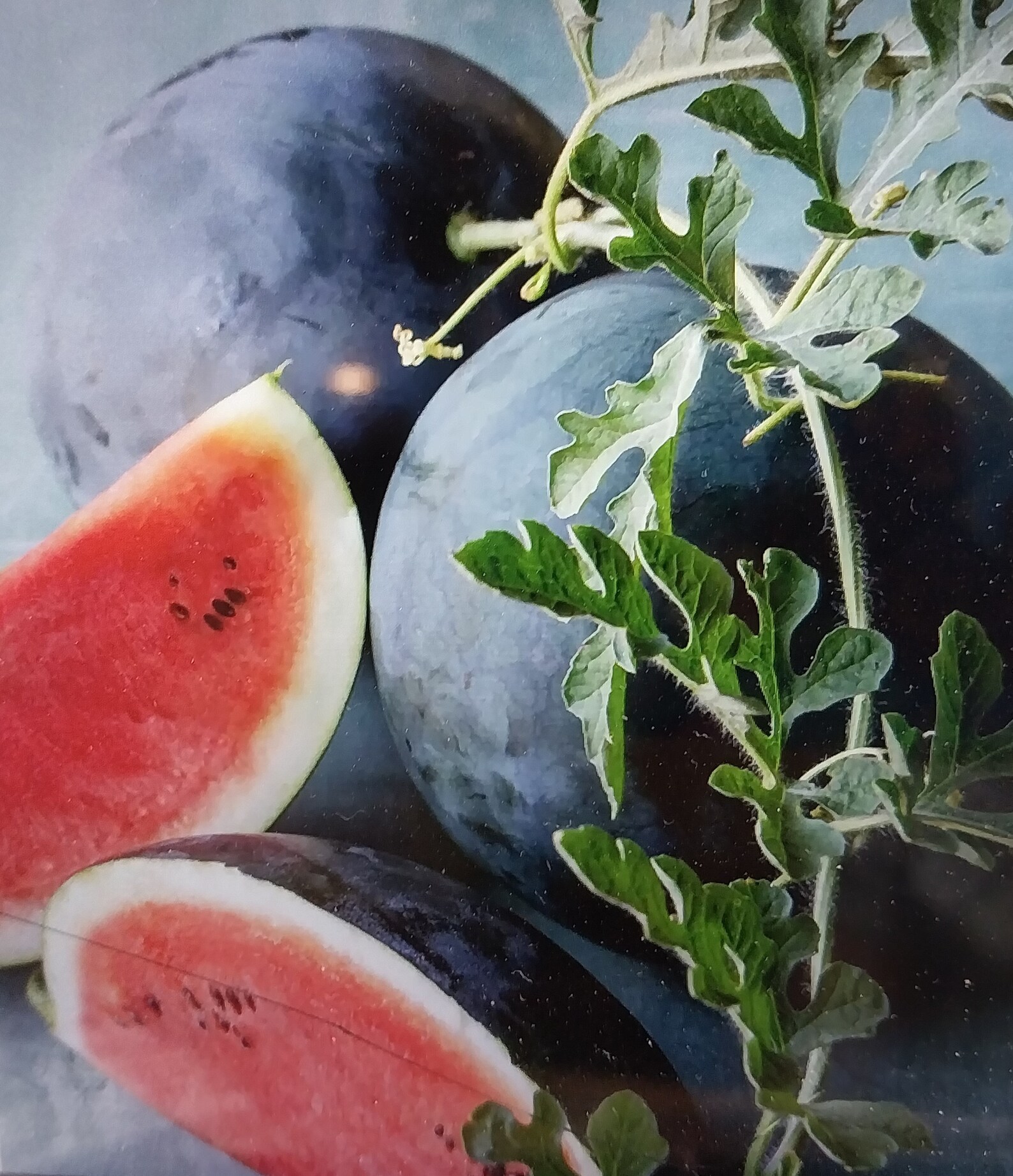 Hand Crafted Glass Seed Jars With Cork, Charms, and Unique and ...