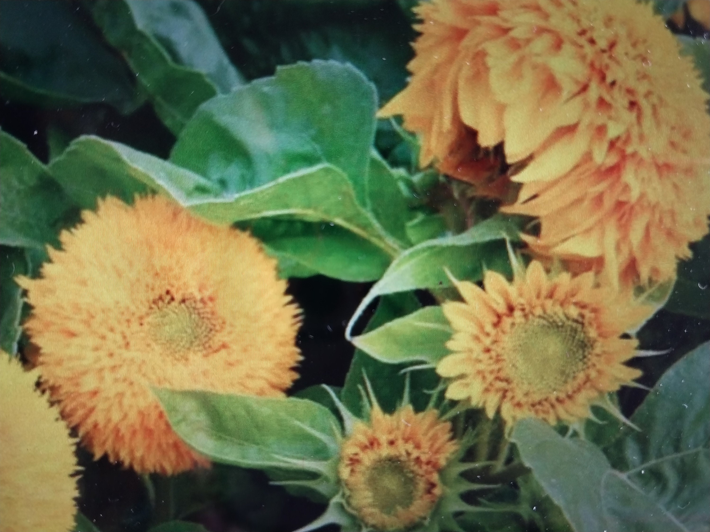 Hand Crafted Glass Seed Jars With Cork, Charms, and Unique and ...