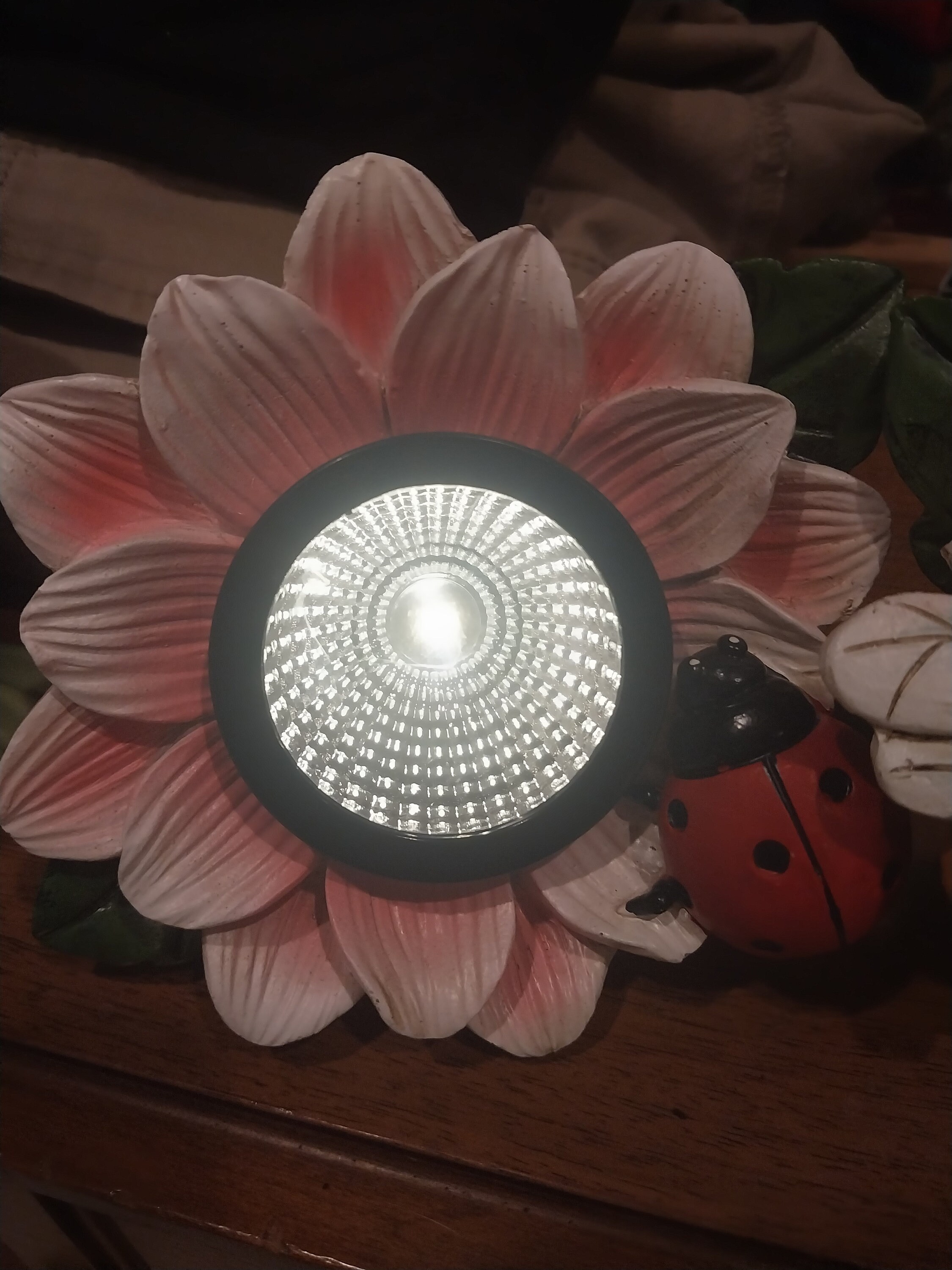 SOLAR LIGHT Flowers With Bee or Ladybug 5x5 - Etsy