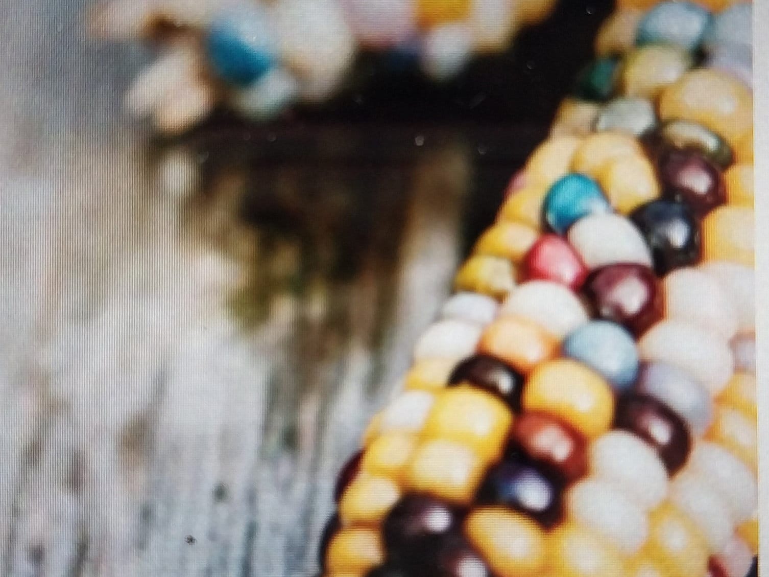 Hand Crafted Glass Seed Jars With Cork, Charms, and Unique and ...