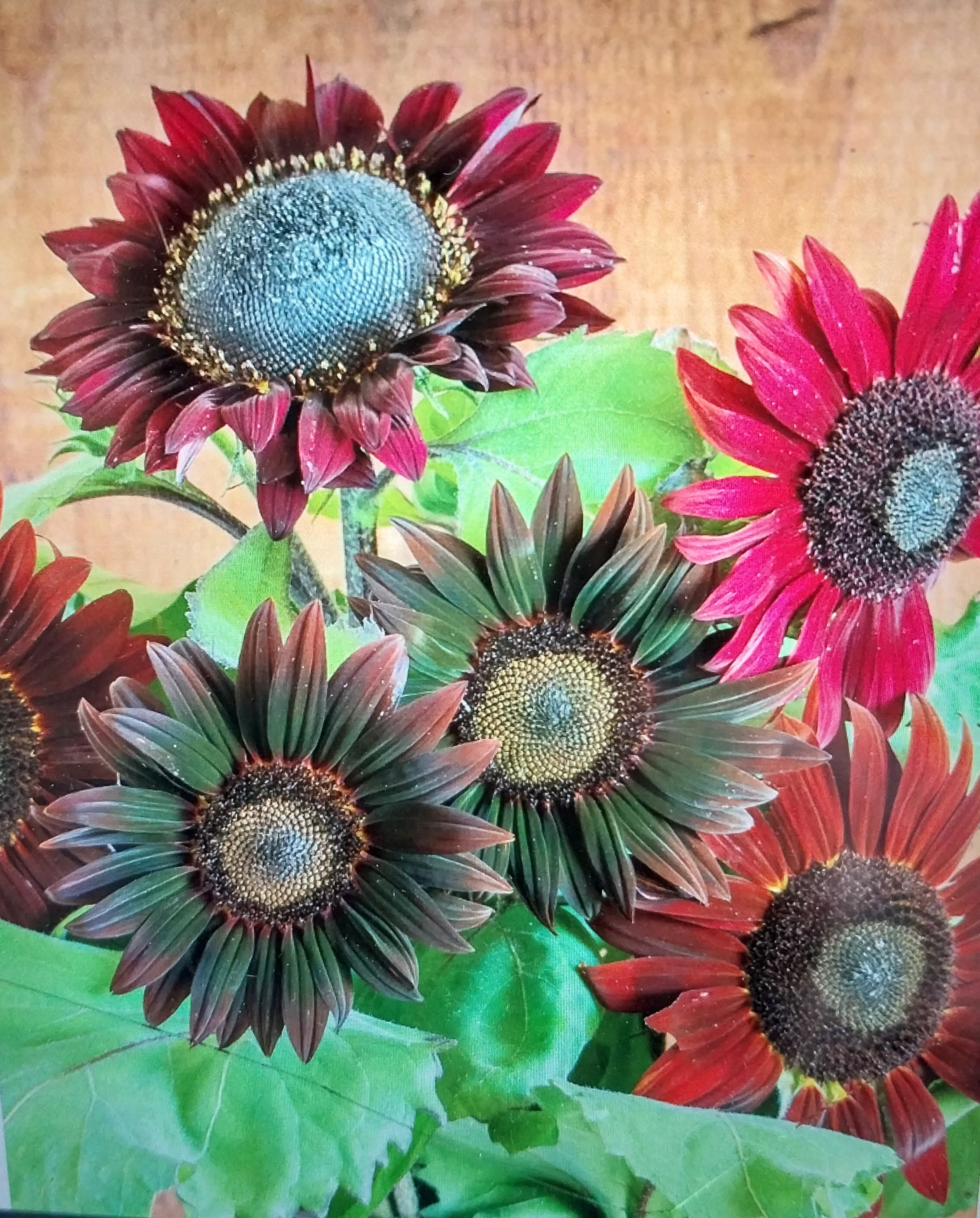 Hand Crafted Glass Seed Jars With Cork, Charms, and Unique and ...