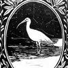 Ibis Linocut Original Art Print Hand-printed Florida Bird Block Relief ...