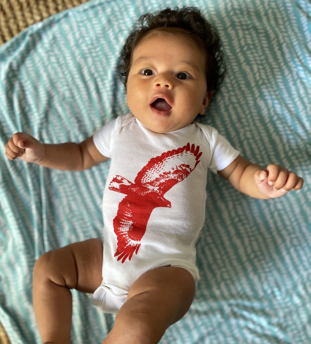 Hawk Onesie | Hand Pulled Screen Print | Red or Silver - Etsy