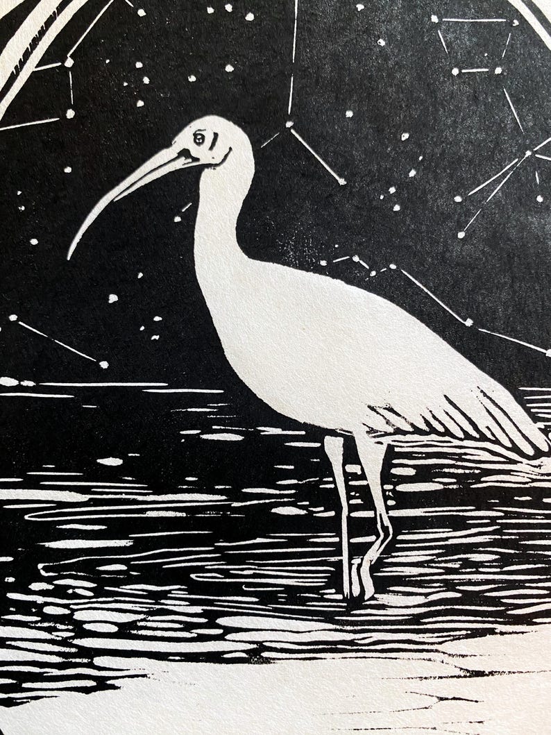 Ibis Linocut - Original Art Print - Hand-printed Florida Bird Block ...