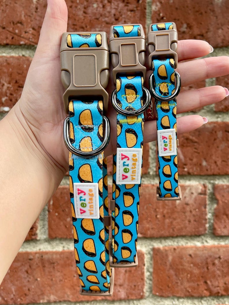 Taco Dog Collar – Fun Food Print Activewear Collar – Lightweight ...
