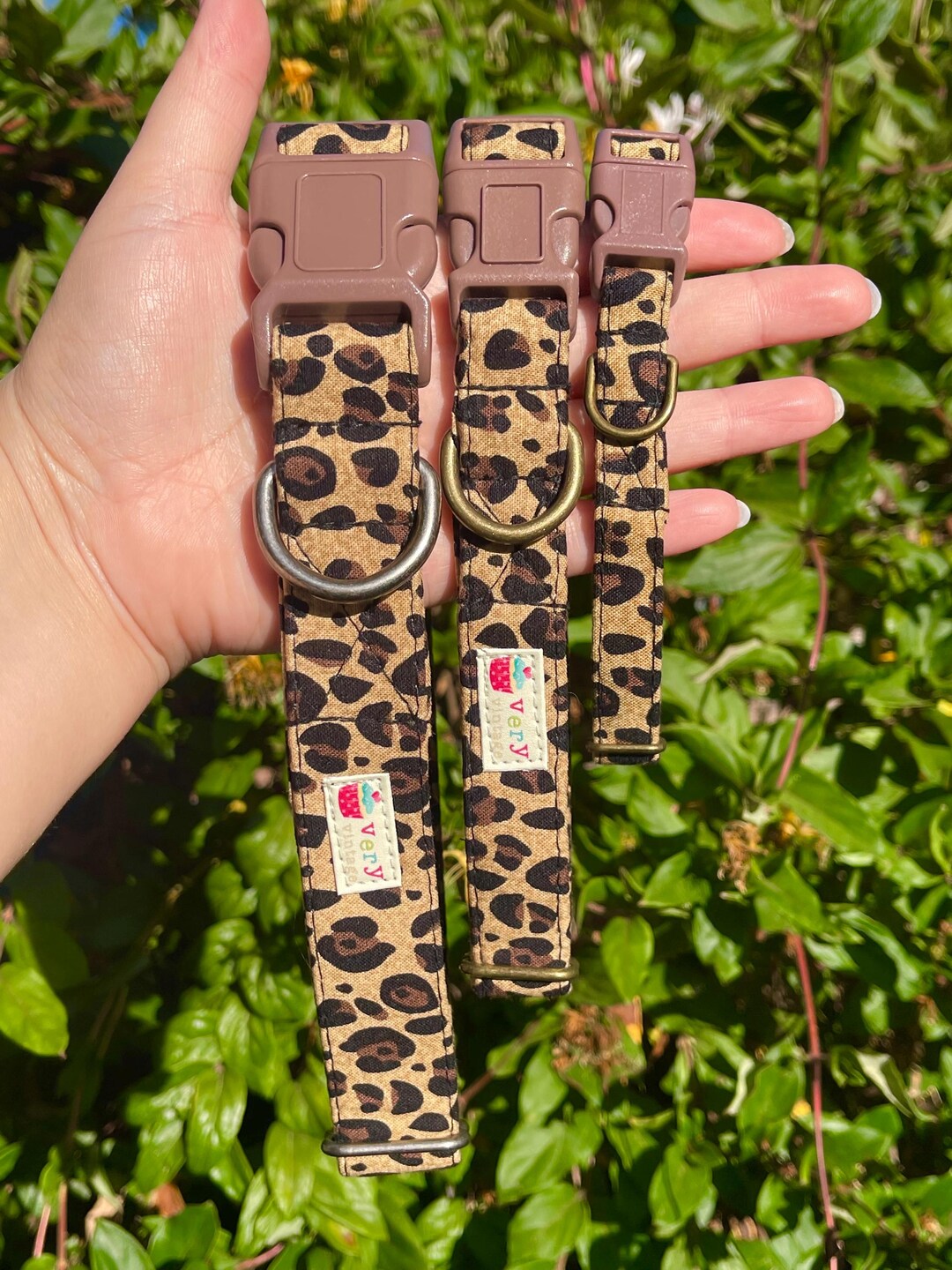 Wild Thing Dog Collar | Leopard Print Dog Collar | Adjustable Cat ...