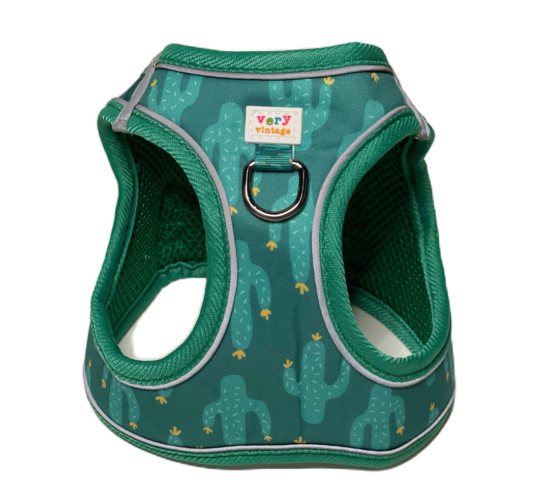 Personalized Dog Harness | Cactus Dog Harness | Cactus Cat Harness ...