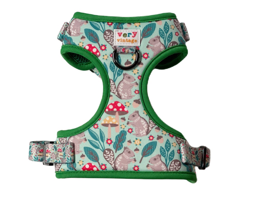 Personalized Dog Harness | Dog Harness | Squirrel Dog Harness | Harness ...