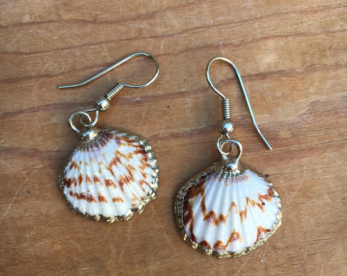 Shell Earrings With Silver - Etsy