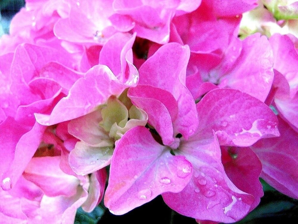 Assorted Blank Note Card Set Photographic Fine Art Note - Etsy