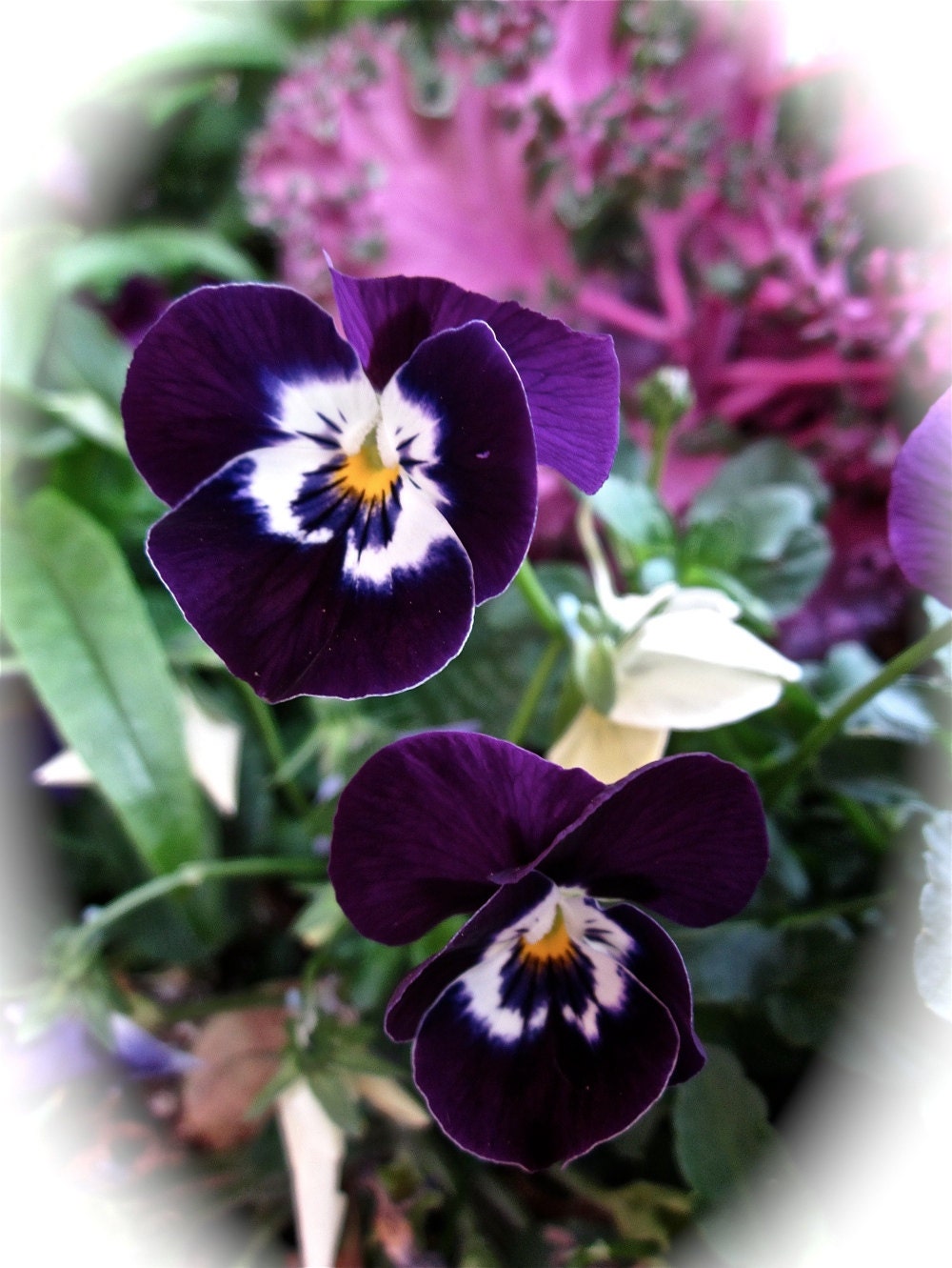 Assorted Blank Note Card Set Photographic Fine Art Note - Etsy