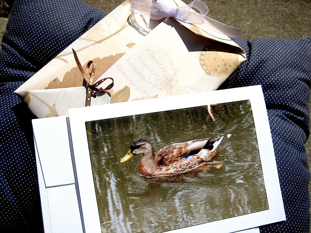 Blank Note Card Set Assorted Fine Art Photographic Note Cards, Scenic ...