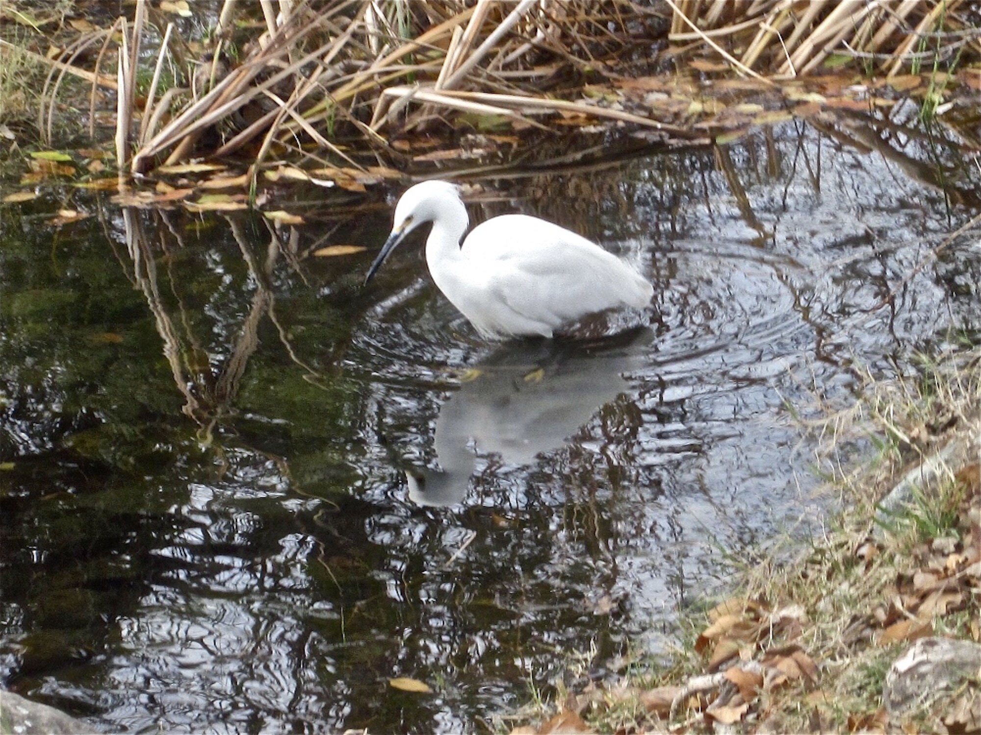 Assorted Blank Note Card Set Photographic Fine Art Cards / as - Etsy