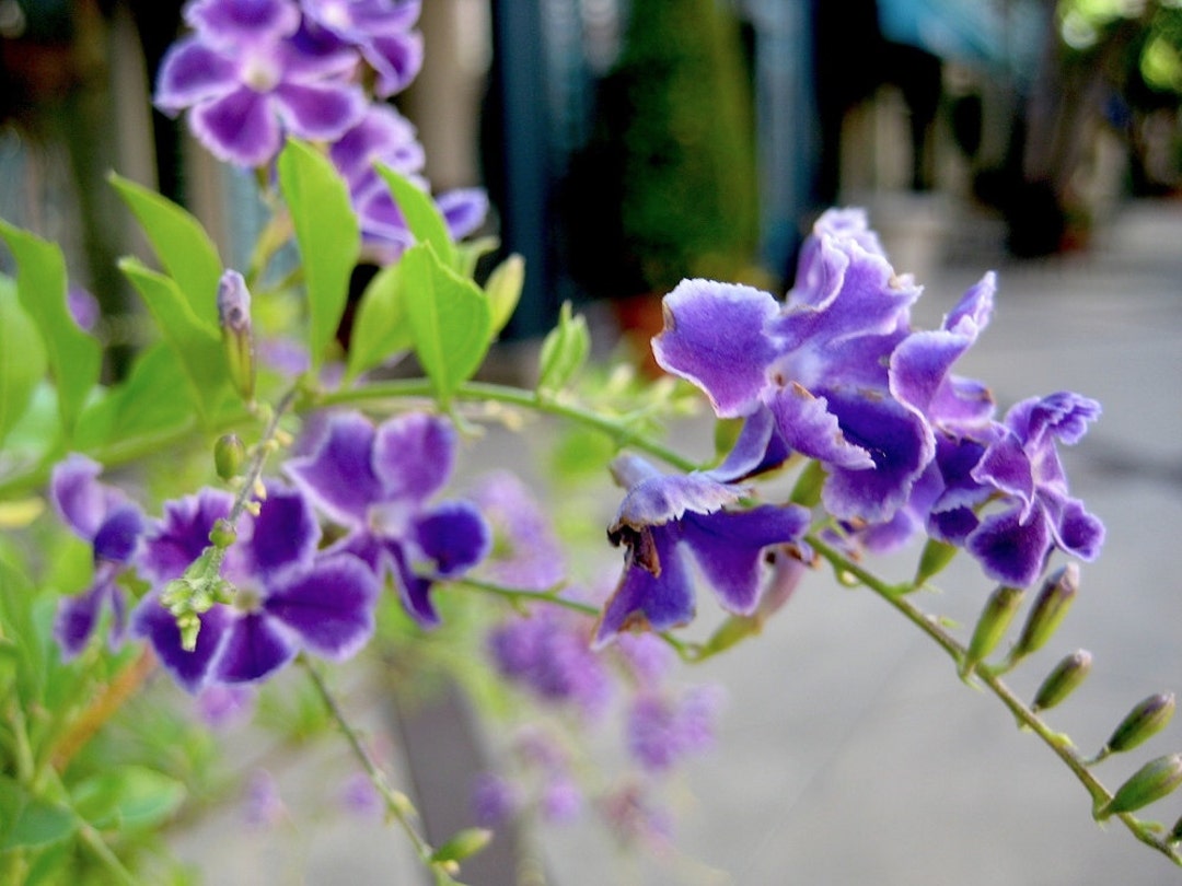 Assorted Blank Note Card Set; Photographic Fine Art Note Cards,/ the ...