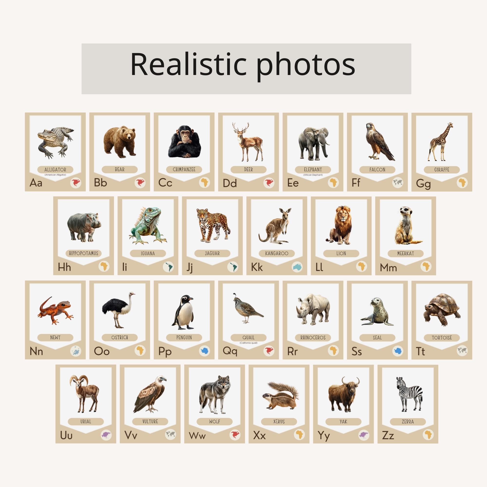Alphabet Poster Card Set, Printable Card for Kids, Wild Animals ...