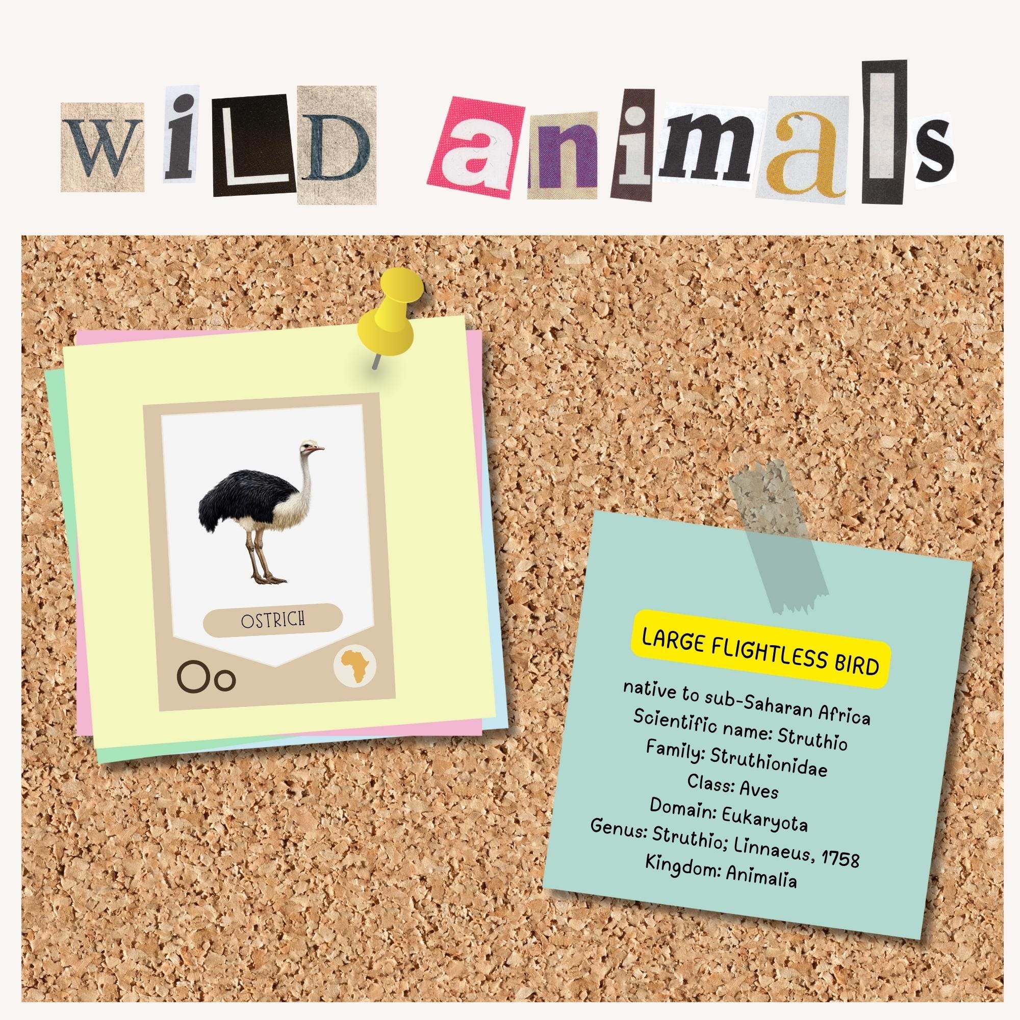 Alphabet Poster Card Set, Printable Card for Kids, Wild Animals ...