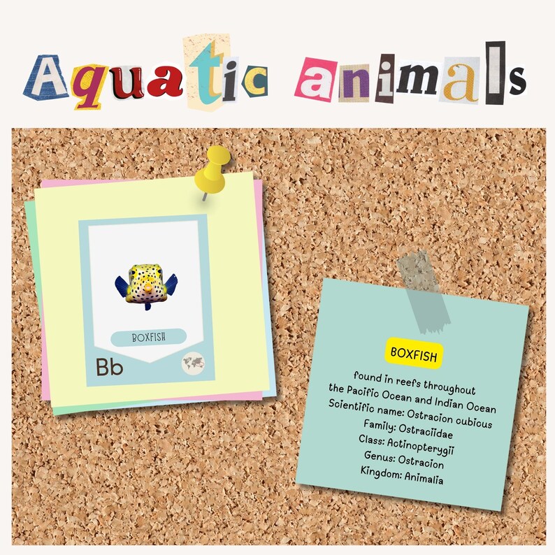 Alphabet Poster Card Set, Printables for Kids, Aquatic Animals ...