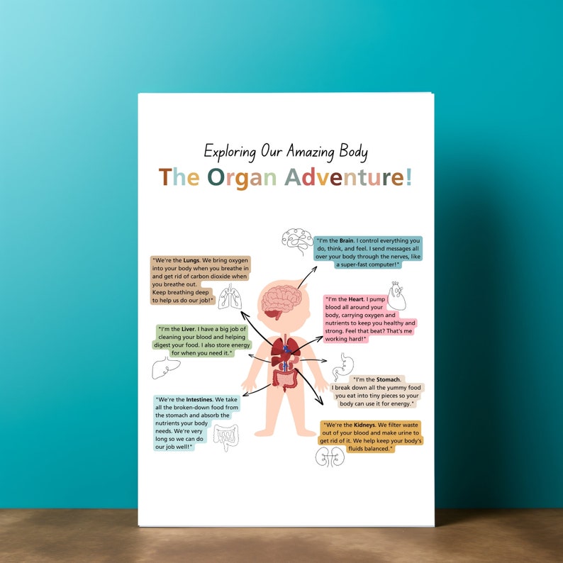 Body Parts for Kids Poster, Human Anatomy, Educational Wall Art ...