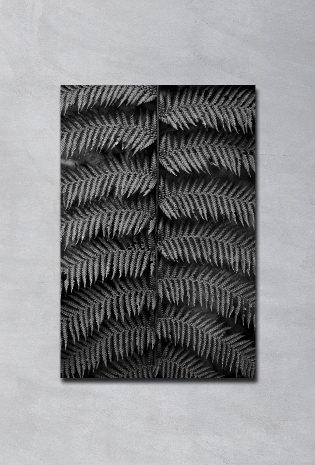 Nature's Symmetry Fern Vertical Black & White Wall Art Picture Print ...