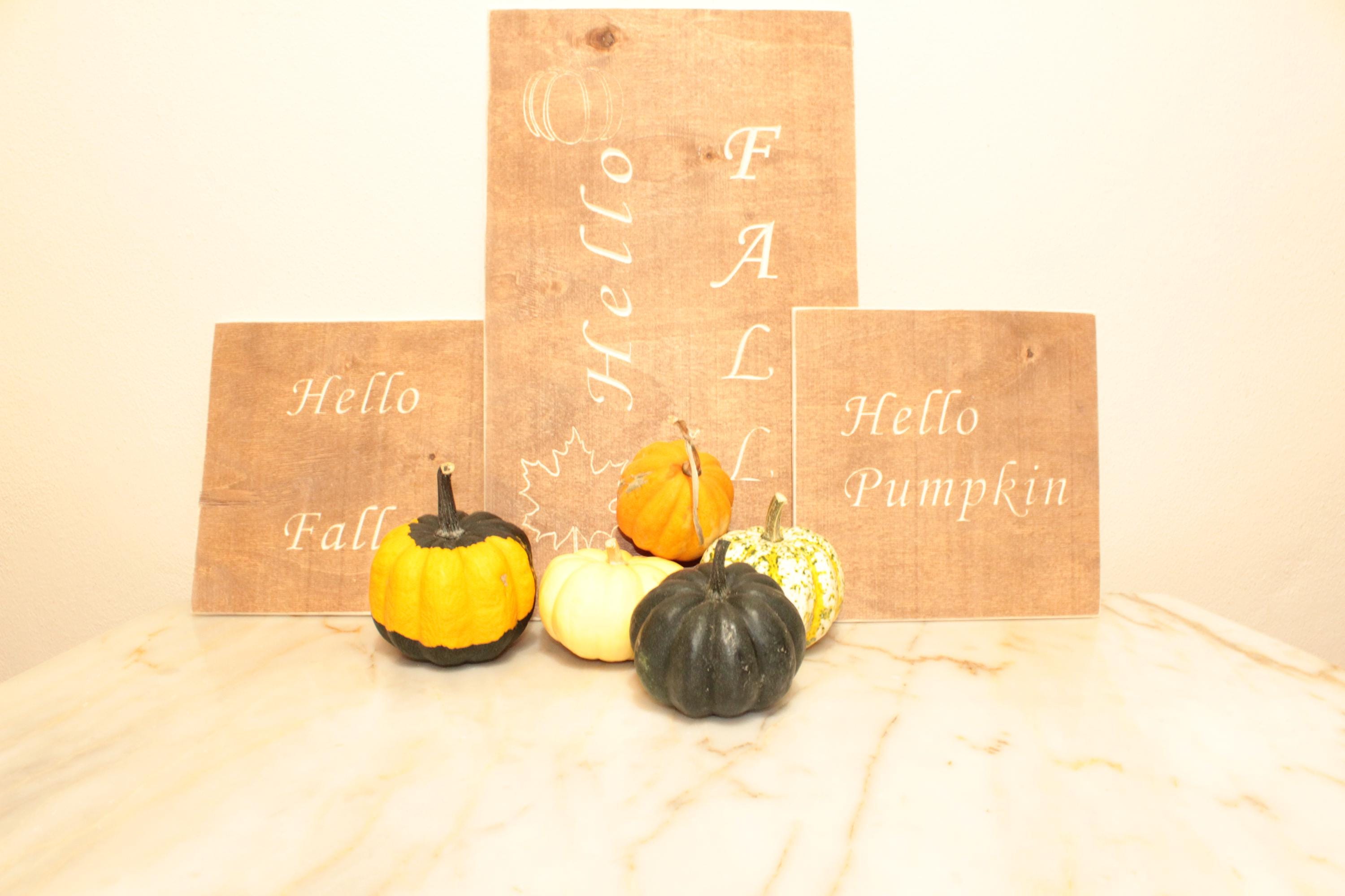 Set of 5 Mini Pumpkins and 3 Engraved Fall Signs Rustic Autumn Tiered ...