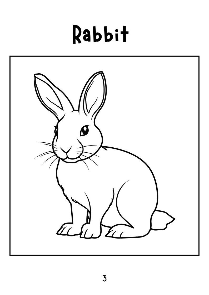 20 Pages Animals Coloring Book Editable Template,coloring Books,kids ...