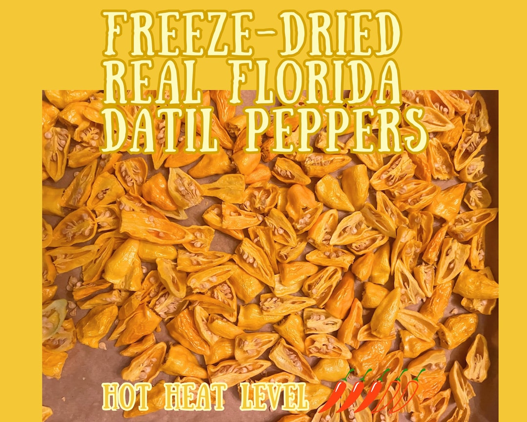 Real Florida Datil Peppers Freeze Dried 100% Dried Datil Peppers for ...